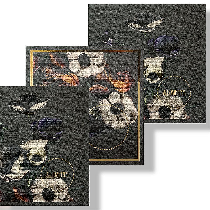 CAIXA GARDEN ALLUMETTES - Allumettes