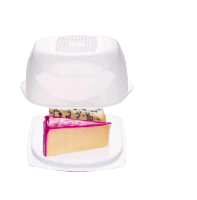 Tupperware Smart Queijeira Mini - Www.jositupper.com.br