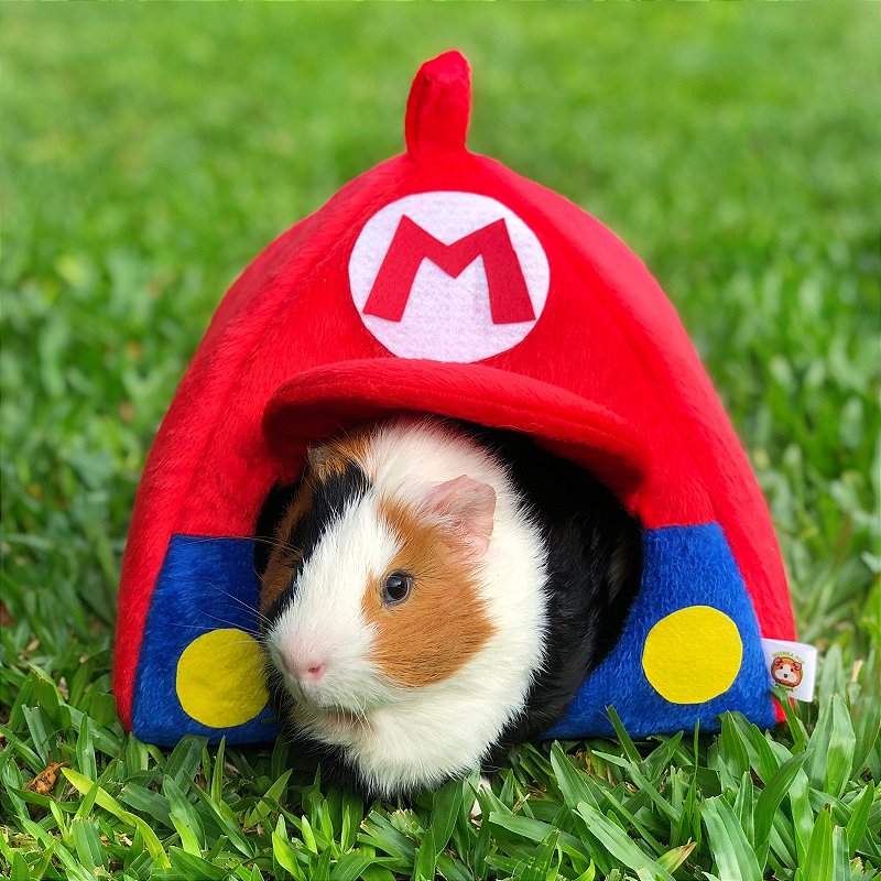 Toquinha • Mario (Super Mario Bros) - Guinea Pig Props