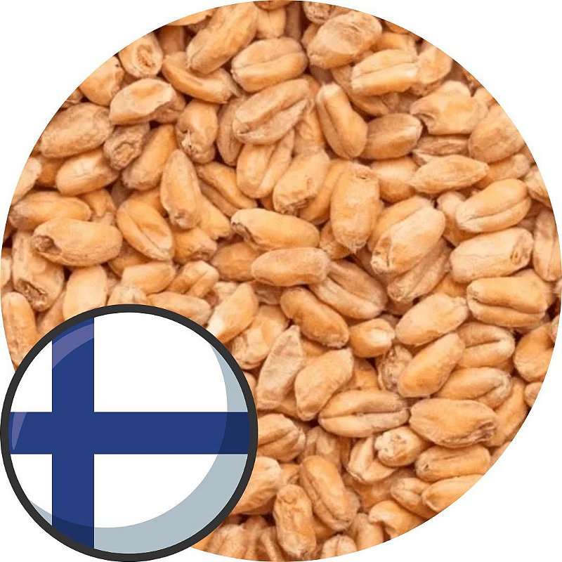 Malte de Trigo Claro - Maltear - 100g - Insumos do Vale - Tudo para a ...
