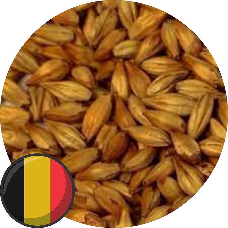 Malte Chateau Melano - Castle Malting - 100g - Insumos do Vale - Tudo ...