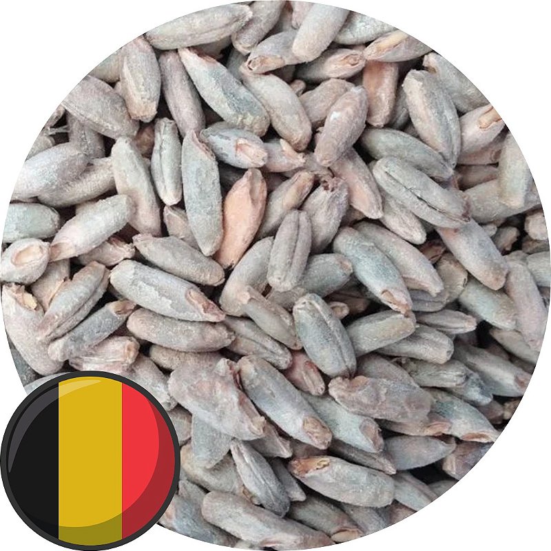 Malte Chateau Rye (Centeio Claro) - Castle Malting - 1kg - Insumos do ...