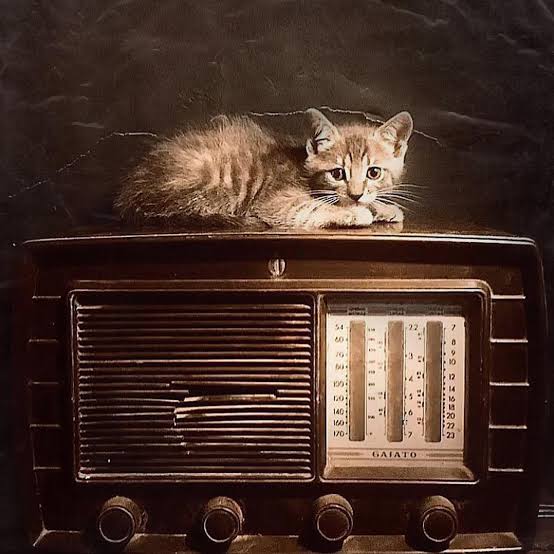 LP Gross - Exilado - EDISCOS.NET