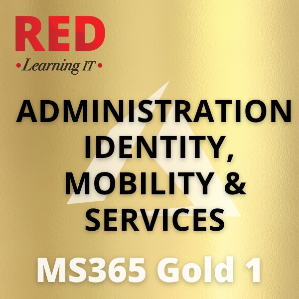 Pacote Microsoft 365 Gold 1 - Identity, Mobility Security Admin - Red ...