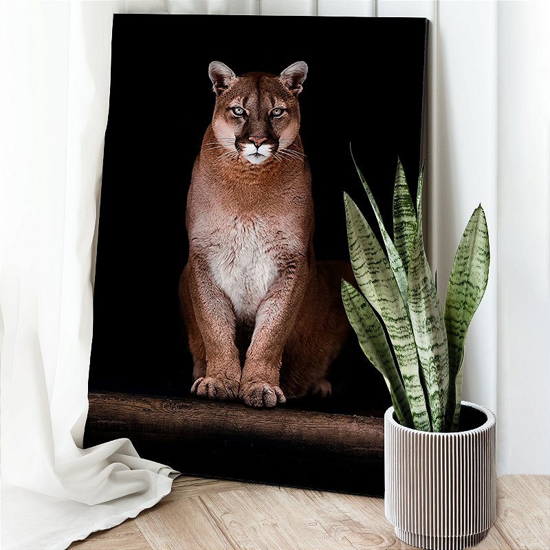 Quadro Decorativo Canvas Animal Selvagem Puma Sentada Fundo Preto Vert ...
