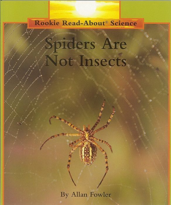 Spiders Are Not Insects - Books R Toys