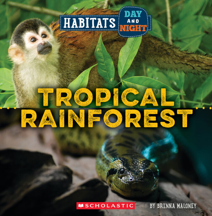 tropical rainforest - Books R Toys