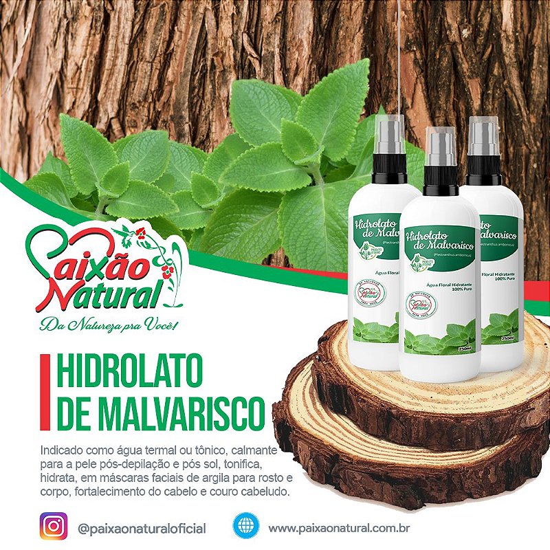Hidrolato de Malvarisco (Indisponível - Entressafra das plantas ...