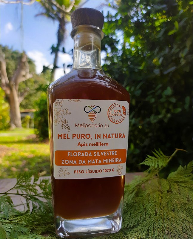 Mel Puro, Florada Silvestre, In Natura, 100% Natural, Cru, Sem ...