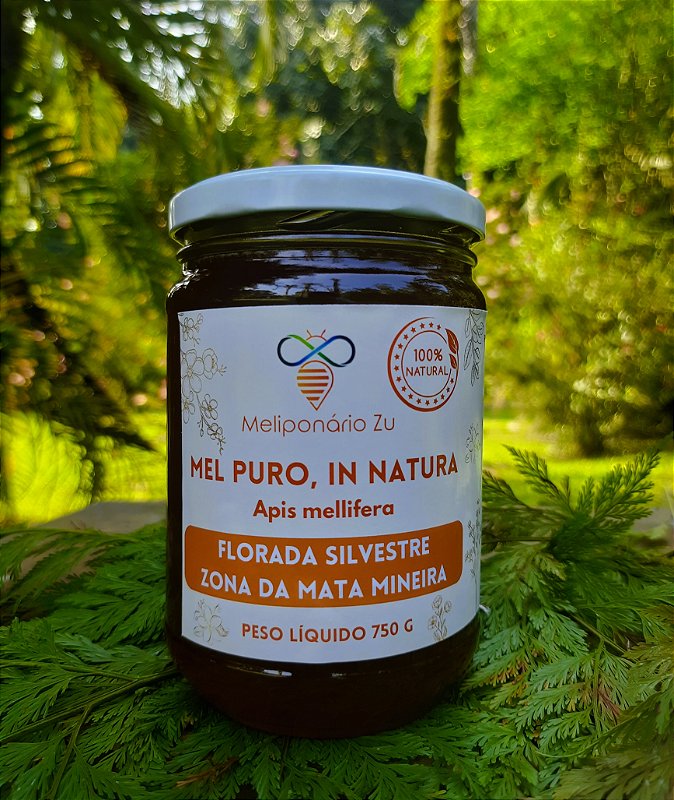 Mel Puro, In Natura, 100% Natural, Cru - 750 gramas, Florada Silvestre ...