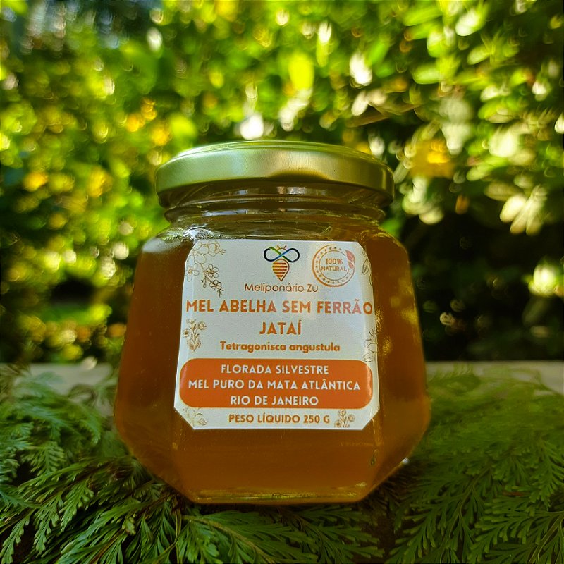 Mel de Abelha Nativa Sem Ferrão Jataí- 250g - Mel Puro, Cru, Sem ...