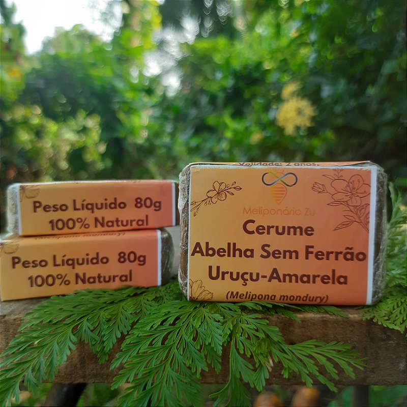 Cerume (Cera & Própolis) de Abelha Sem Ferrão Uruçu-Amarela (Melipona ...