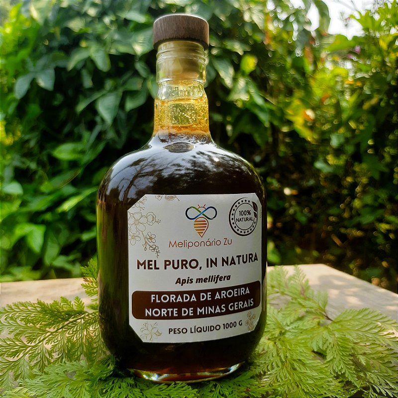 Mel Puro, Florada de Aroeira, In Natura, 100% Natural, Cru, Sem ...