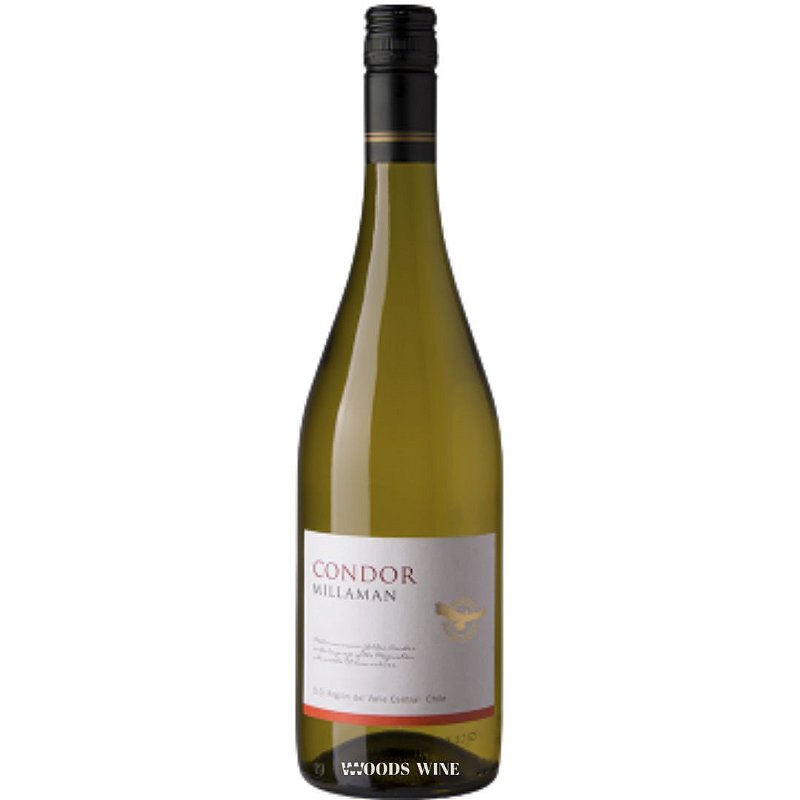 CONDOR CHARDONNAY - Woods Wine