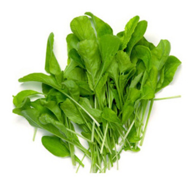 Rúcula - Caixa com 15 unidades - Planta Delivery