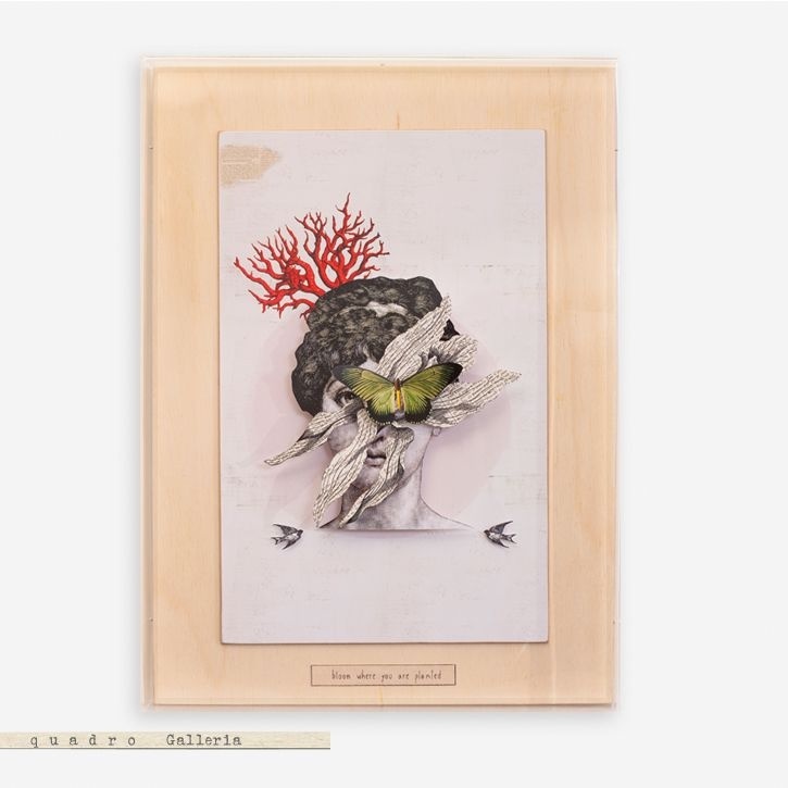Quadro Galleria - Allegra - Bloom Where Your Planted - Mercatto Casa ...