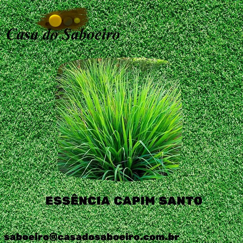 ESSENCIA CAPIM SANTO - https://www.casadosaboeiro.com.br