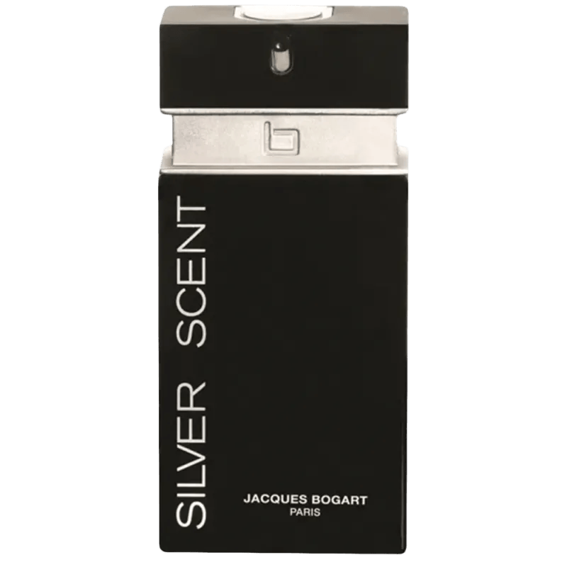 Silver Scent Eau de Toilette - Perfume Masculino 100ml - Rafaello Store ...