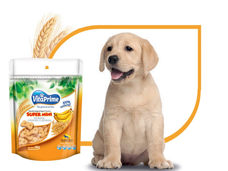 Biscoito VitaPrime Super Mini sabor Banana, Cereais e Quinoa 180g - Pet ...