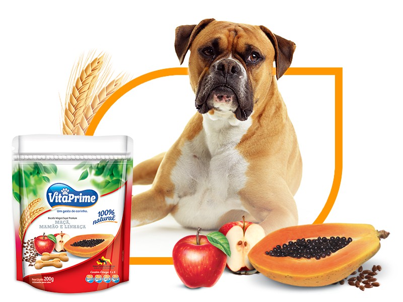 Biscoito VitaPrime sabor Maçã, Mamão e Linhaça 200g - Pet Here
