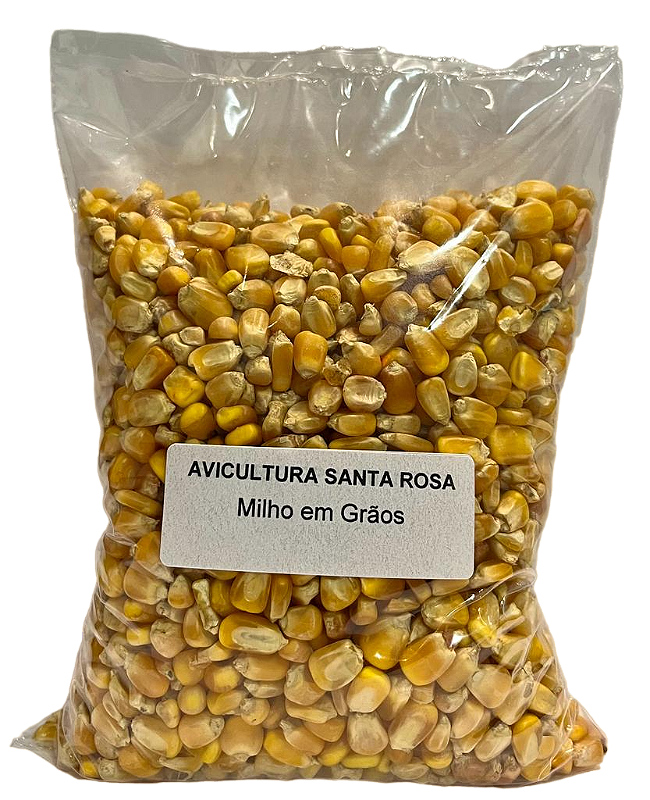 Milho em Grãos - Avicultura Santa Rosa