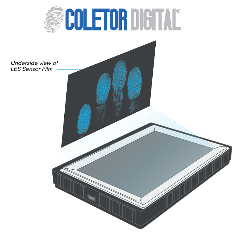 BIOMETRICO PALMAR 4 DEDOS FAP50 CINCO-0 - Coletor Digital - Coletores ...