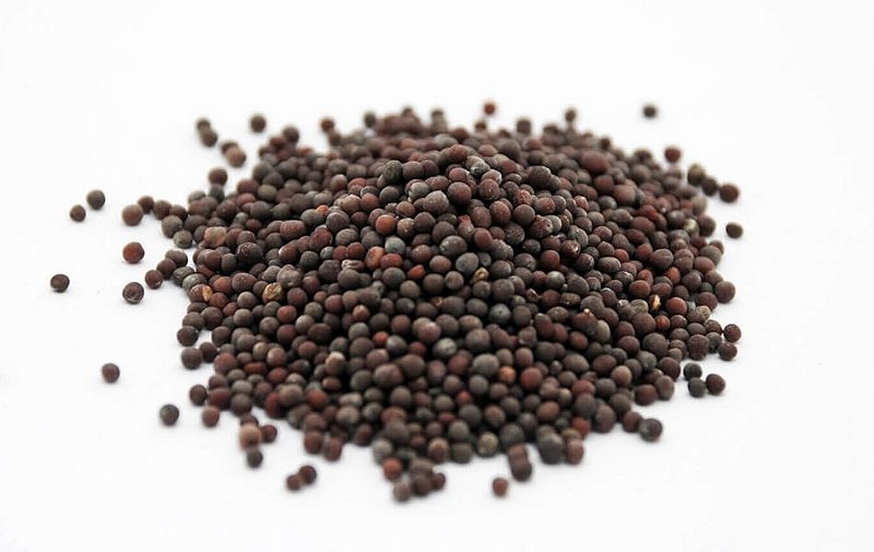 Mostarda Preta em Grãos - Granel - EMPÓRIO DON GRANO