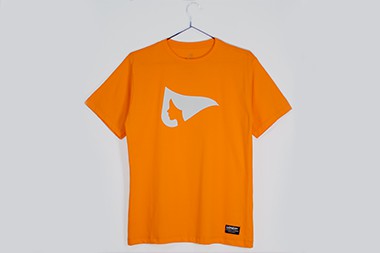 Camiseta Ladies Legendários - Laranja + Branco - Loja Legendários ...