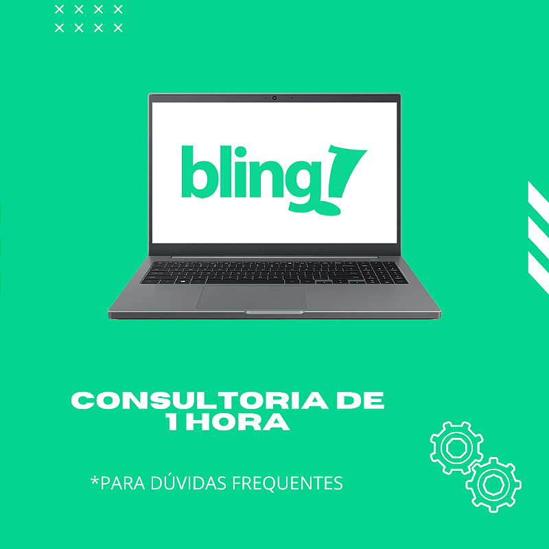 Treinamento Bling ERP + Integrações - MS Consultoria