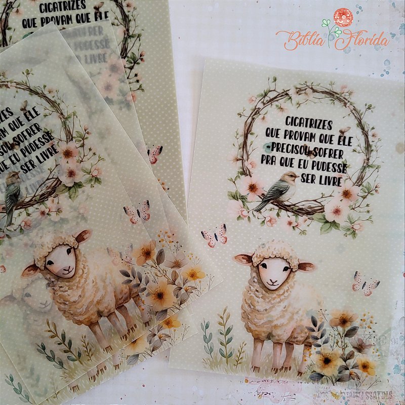 Vellum CICATRIZES - Bible Journaling - Bíblia Florida