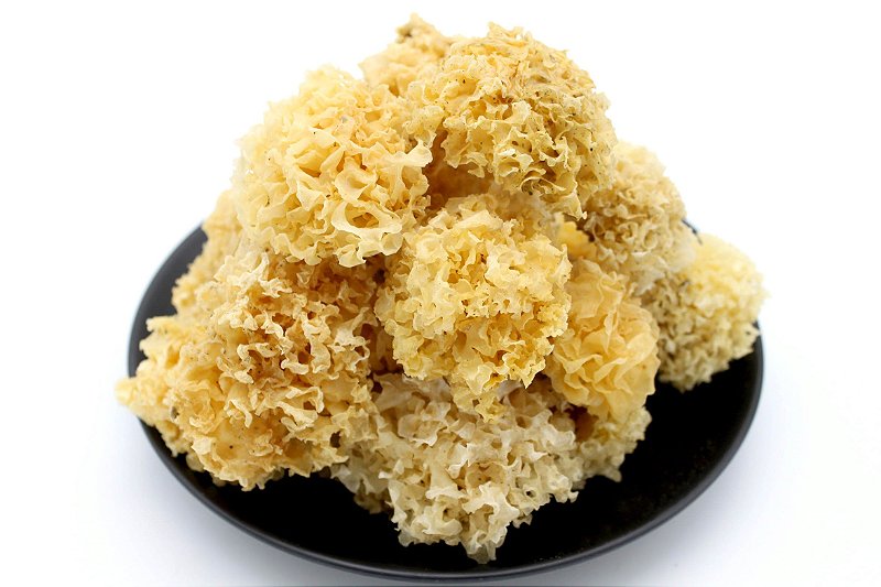 YIN ER (FUNGO BRANCO) A GRANEL - Elementos da MTC