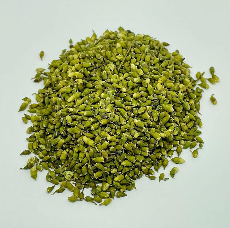 HUAI HUA MI (FLOS SOPHORAS) A GRANEL - Elementos da MTC