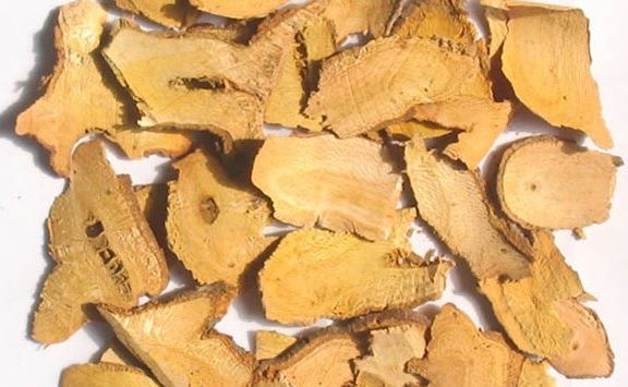 HU ZHANG (RHIZOMA POLYGONI CUSPIDATI) A GRANEL - Elementos da MTC