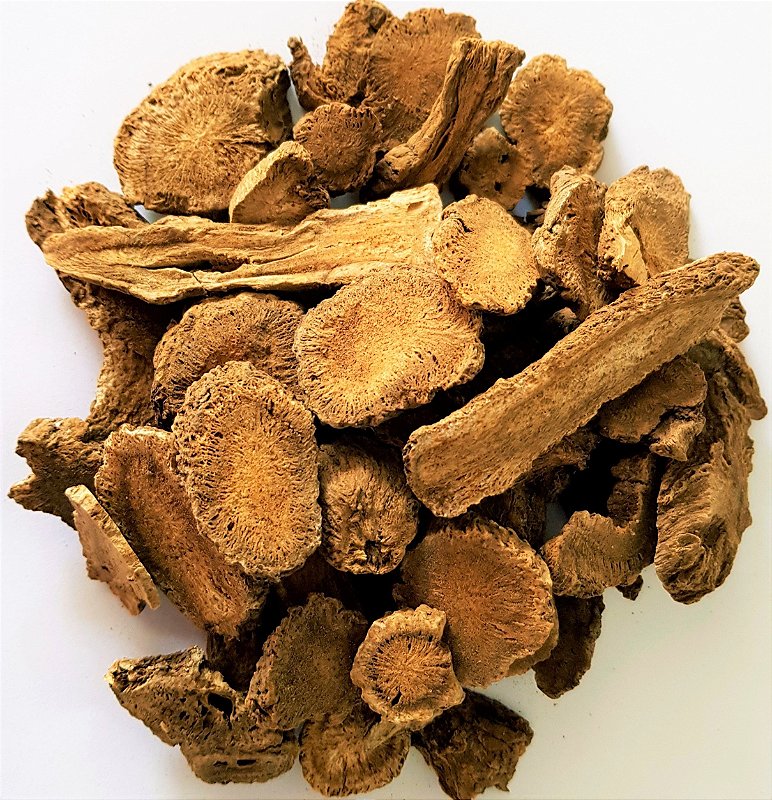 MU XIANG (RADIX AUCKLANDIAE) A GRANEL - Elementos da MTC