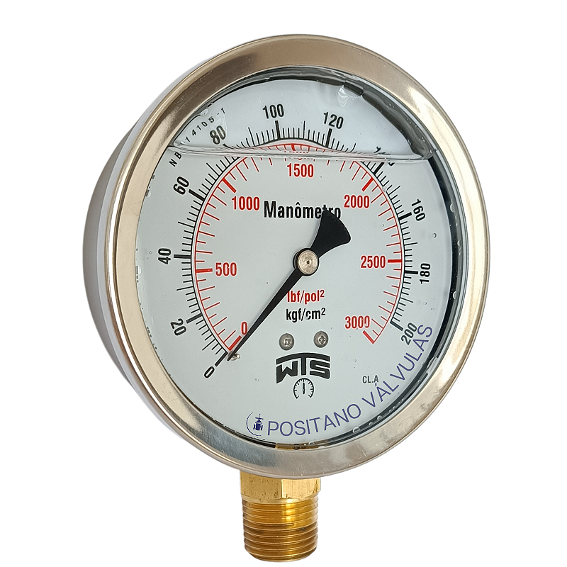 Manômetro 4 (100MM) - Aço Inox – Vertical – Glicerinado – Winters ...