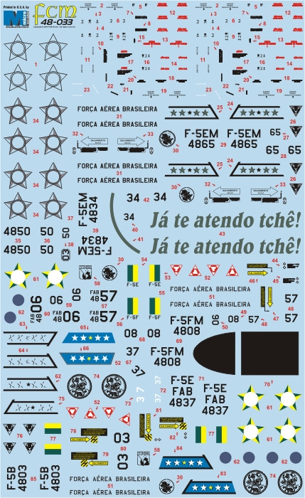 Decalque F-5B, E, F, EM e FM da FAB 1/48 - FCM 48-033 - BLIMPS