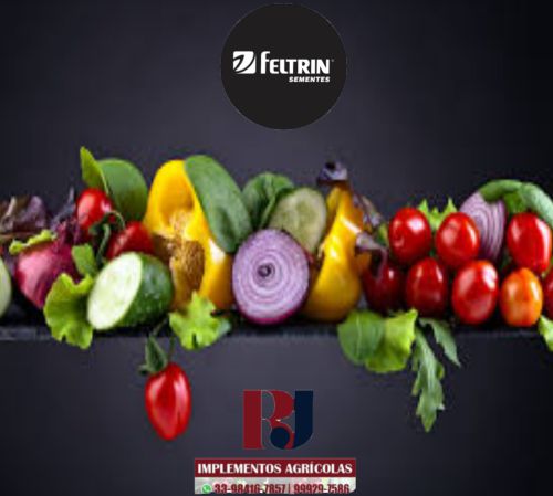 Sementes Feltrin - RJ Implementos Agrícolas e Distribuidora