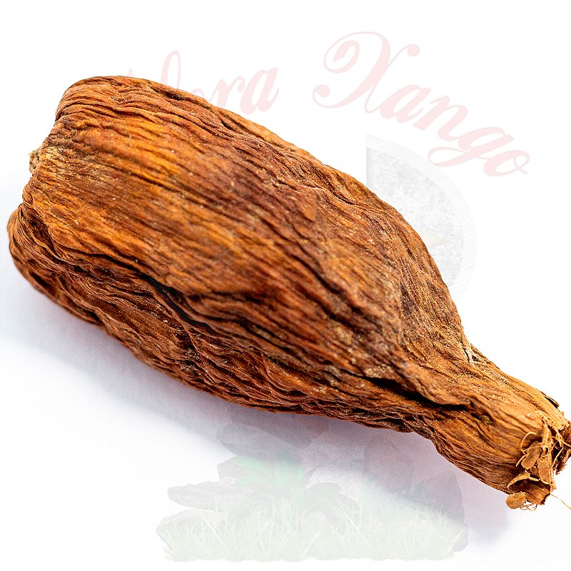 Atare - Flora Xangô