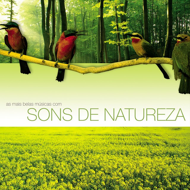 SONS DA NATUREZA - AS MAIS BELAS MÚSICAS COM SONS DA NATUREZA - CD ...
