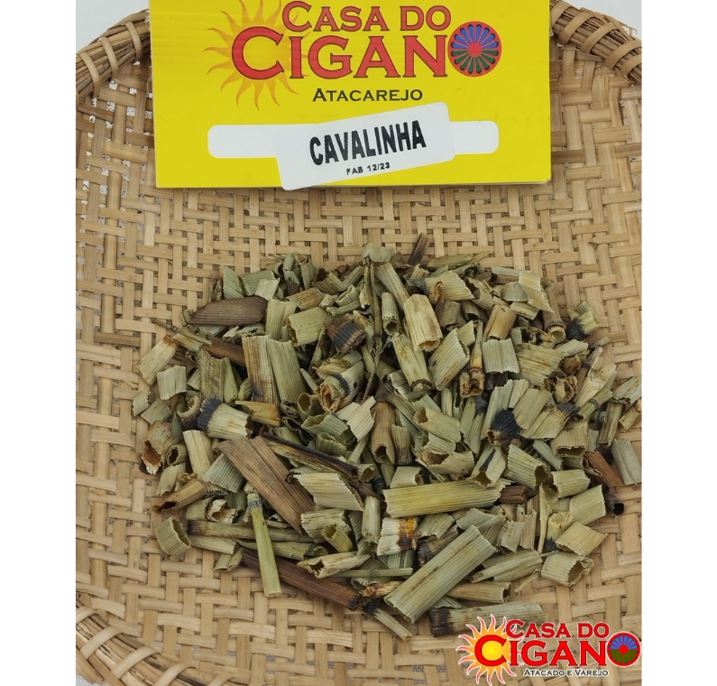 Erva - Cavalinha - Casa do Cigano - A Maior Loja de Umbanda e Candomblé ...