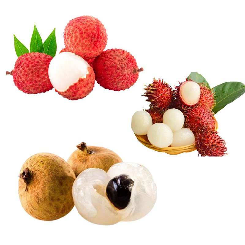 Kit 3 Mudas 1 Lichia Comum 1 Lichia Peluda 1 Lichia Branca - Boni ...