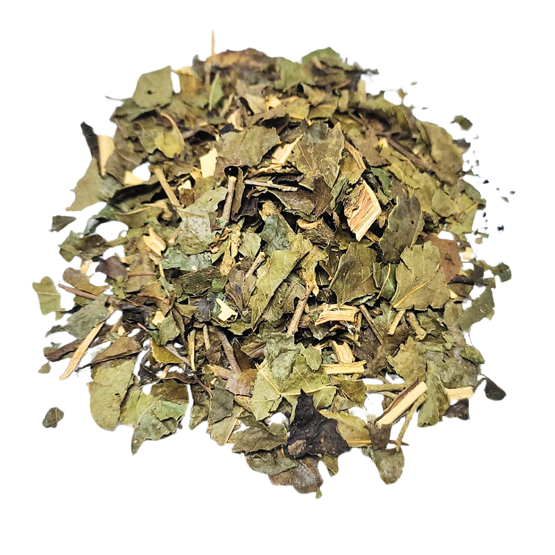 Chá de Bugre Porangaba (Casearia sylvestris) Kg | Empório & Cia ...