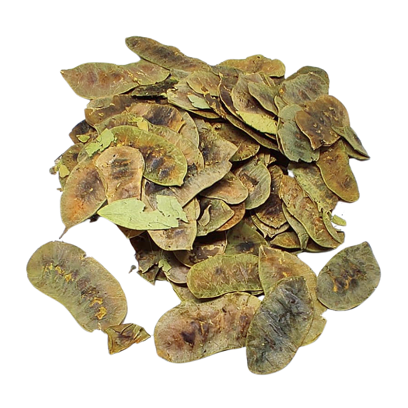 Folículos De Sene (Senna alexandrina) Pacote 100g | Empório & Cia ...