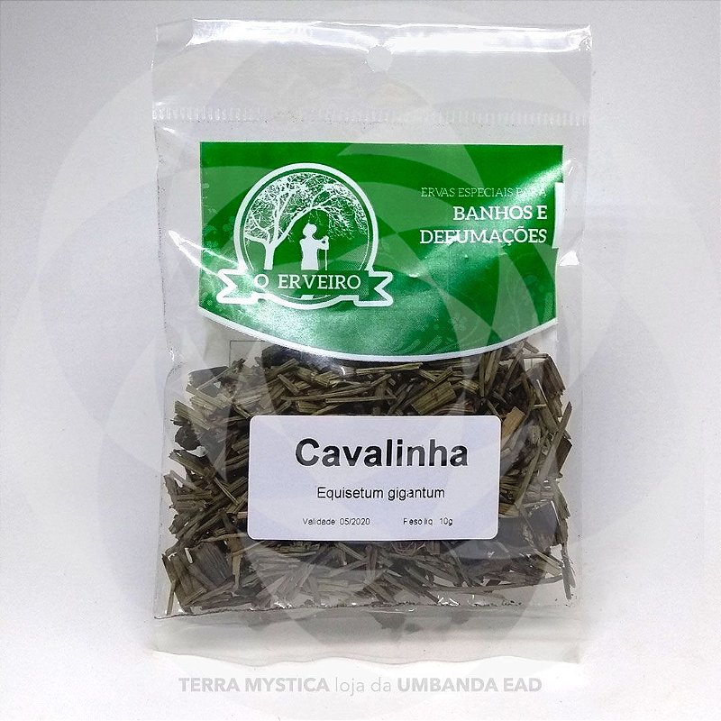 CAVALINHA .::. Ervas da Jurema .::. Terra Mystica - Loja Umbanda EAD