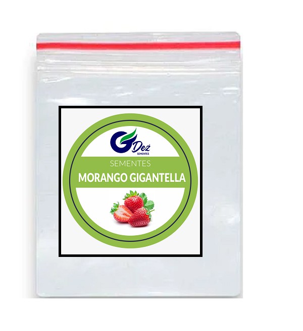 300 Sementes De Morango GIGANTE Gigantella - gdezsementes