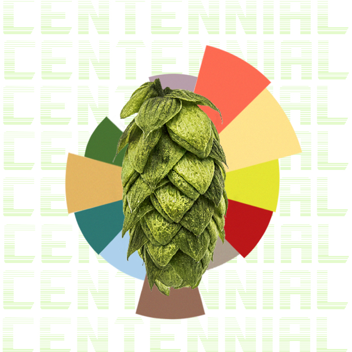 Lúpulo Centennial - 5Kg | BREWHOUSE - Brewhouse Insumos Cervejeiros