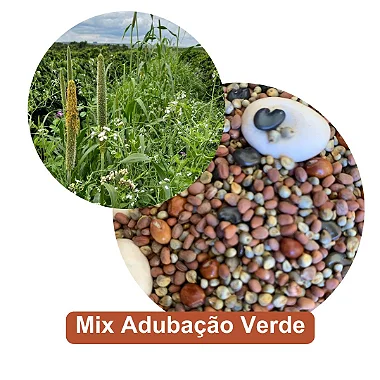 SEMENTES DE MIX DE MIX DE ADUBAÇÃO VERDE - Lojão do Produtor