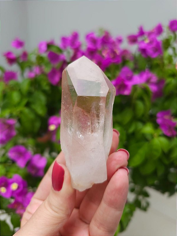 Ponta Rosa Elo do Tempo Passado Gravado - Chantrea Pedras