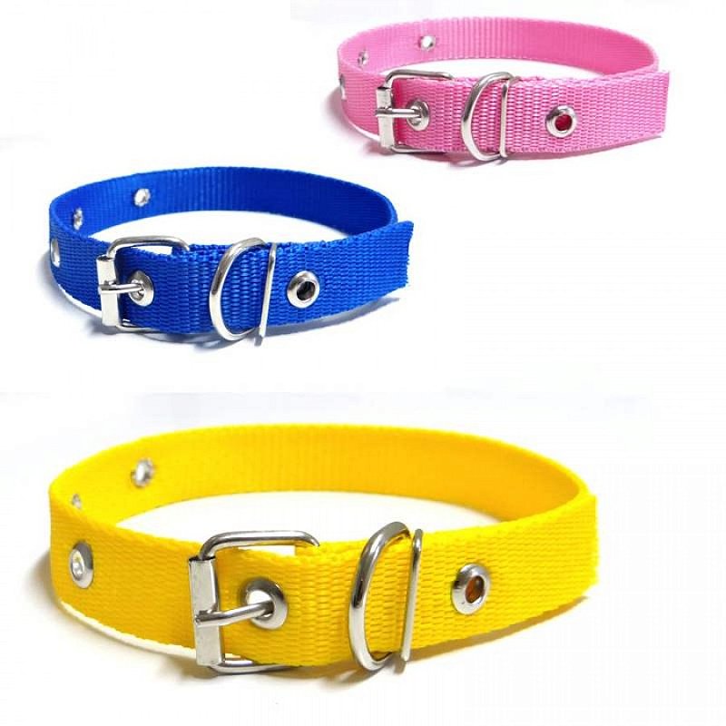 Coleira Nylon Especiais N 12 Larga - Empire Pet