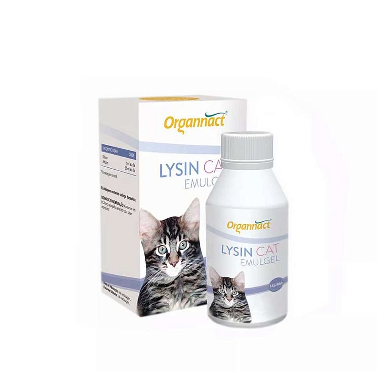Lysin cat store